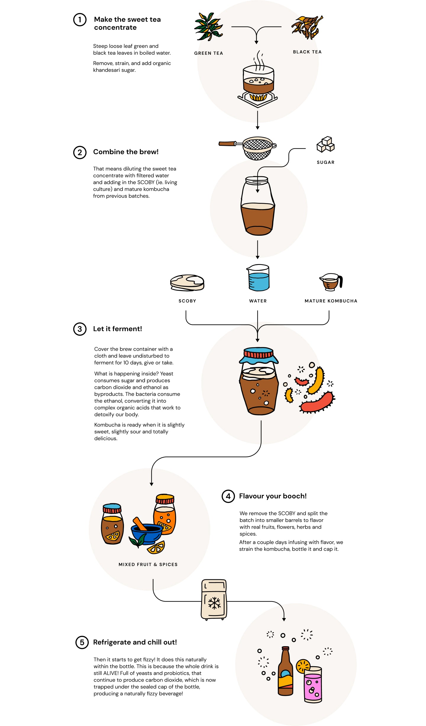Kombucha Fermentation Process – Rise Up Kombucha